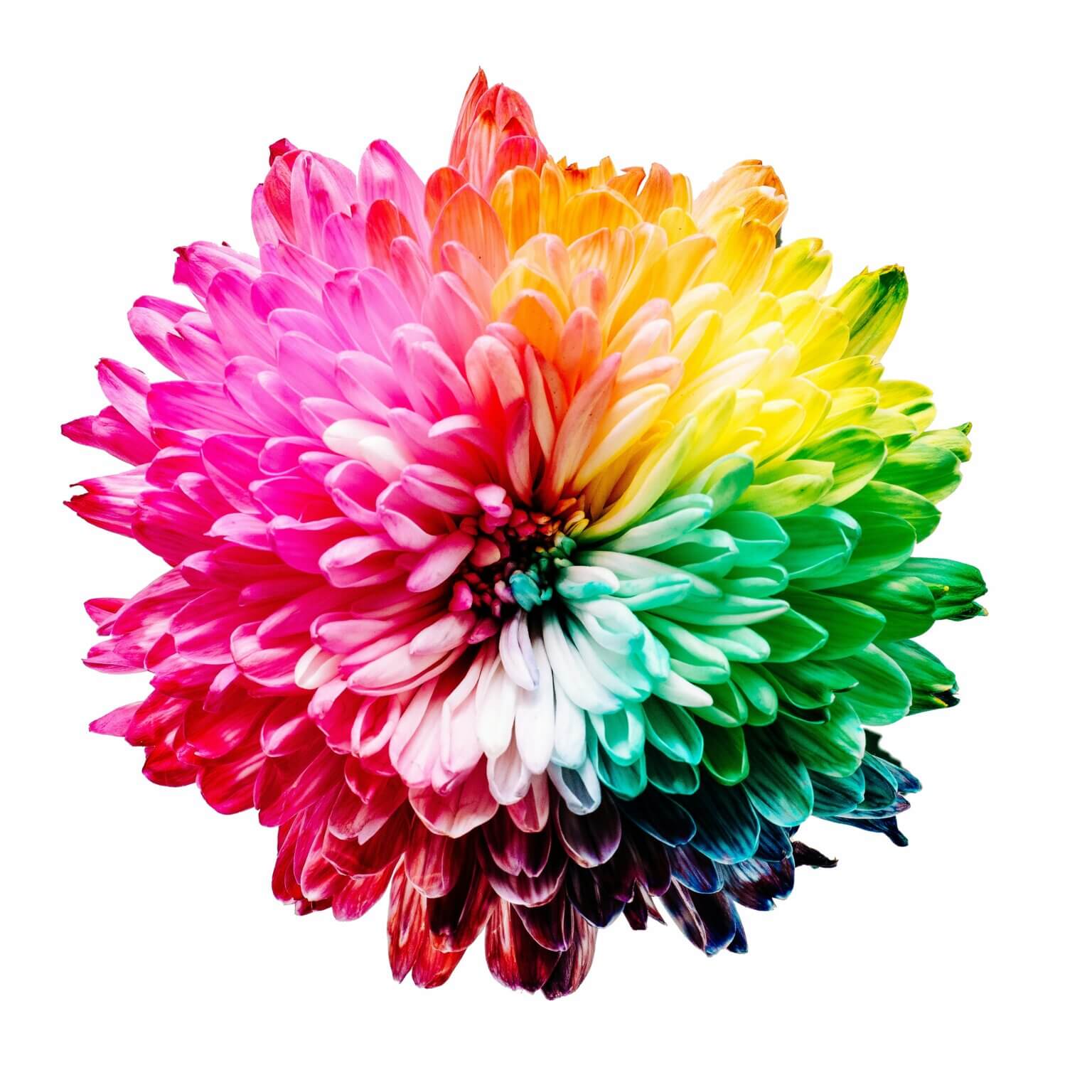 Turn Every Print into a Powerful Statement with Color Pages - Stratix ...